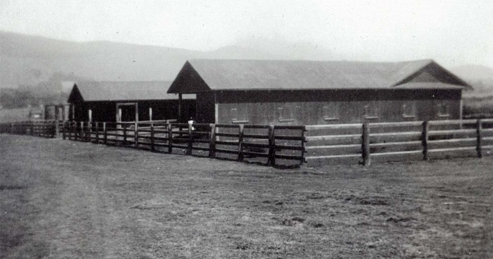History of Pukalani Stables - Part I - Paniolo Preservation Society